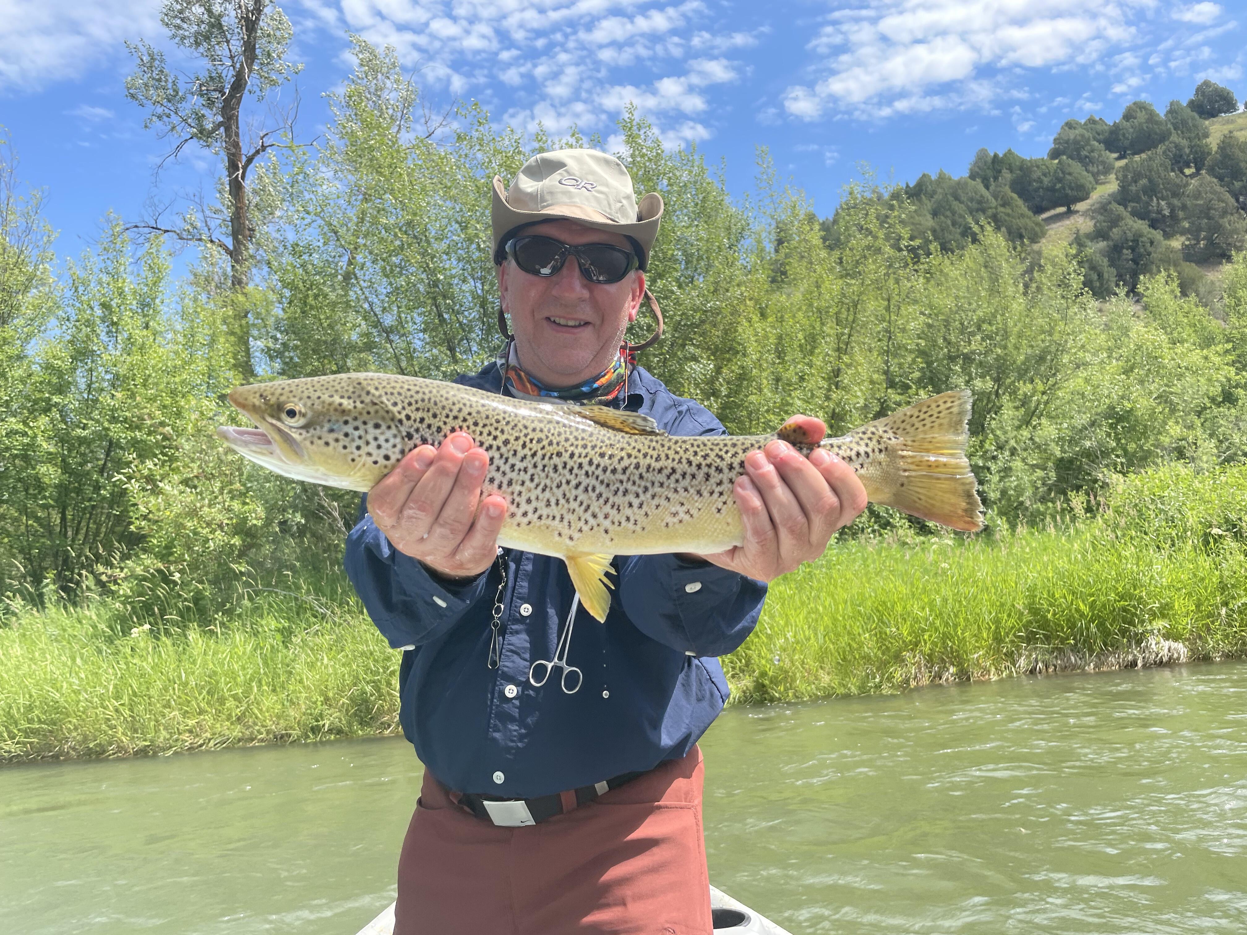 Ron Gambassi | Vistage Chair Executive Coach in Boise